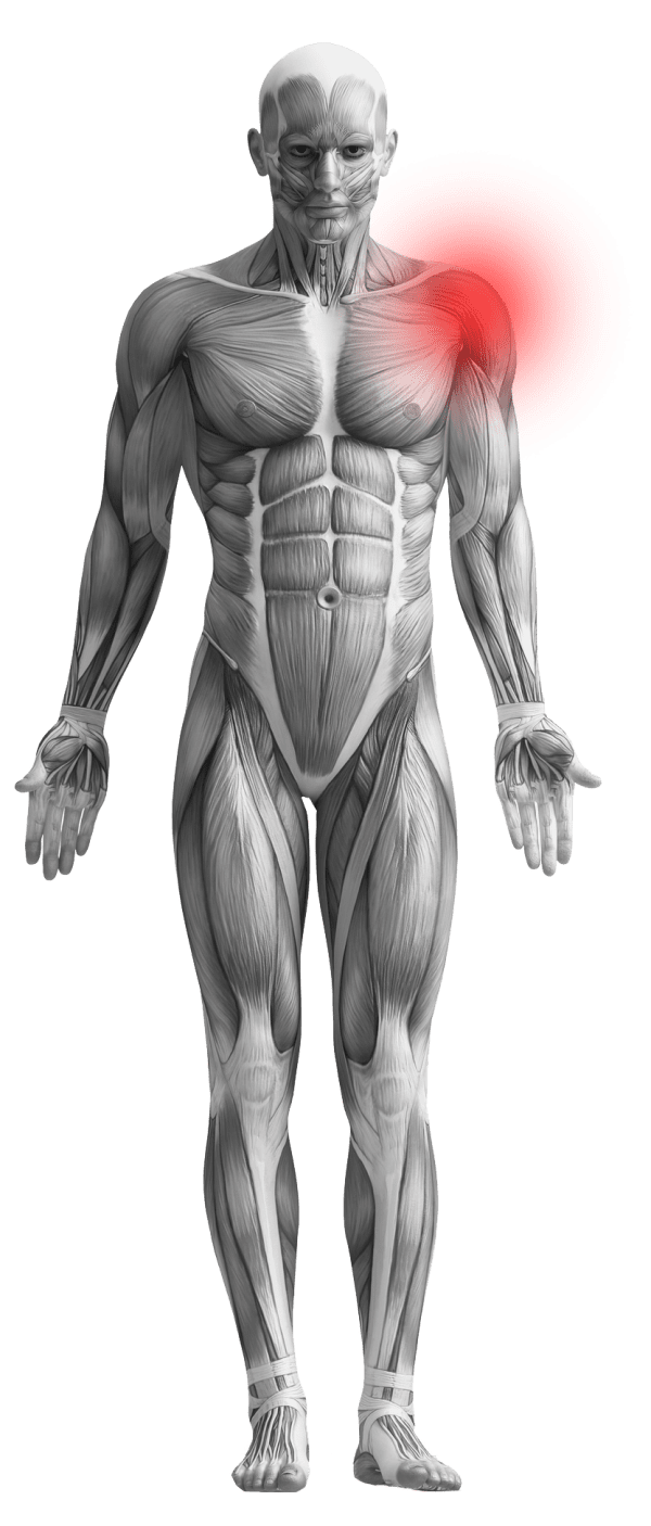 Sheddon Physiotherapy Sports Injury Clinic | Oakville